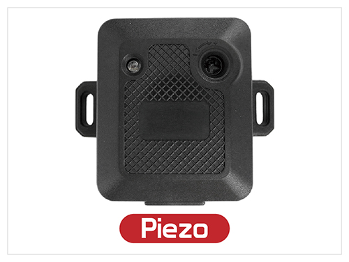 Promaster Electronic